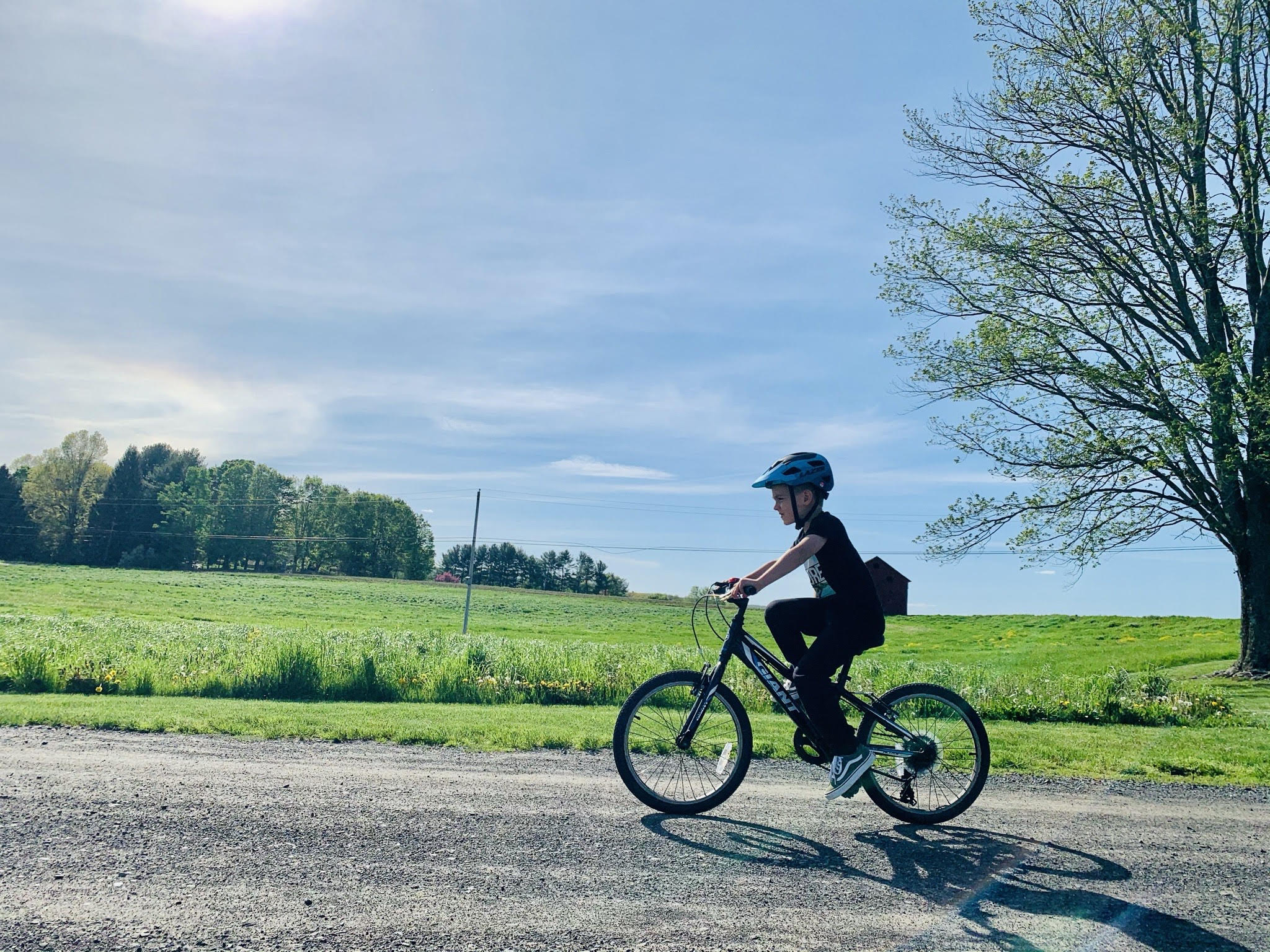 A Fresh Lid for Every Skid | Lazer Helmets – Lazer Sport Canada